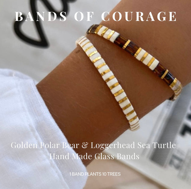 Sea Turtles – Bands of Courage